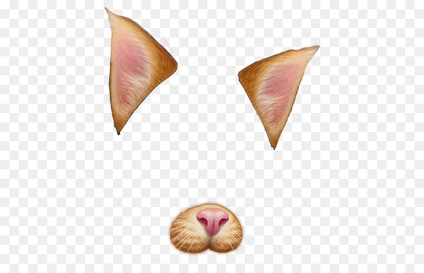 Free: Cat Photographic filter Clip art - Cat - nohat.cc