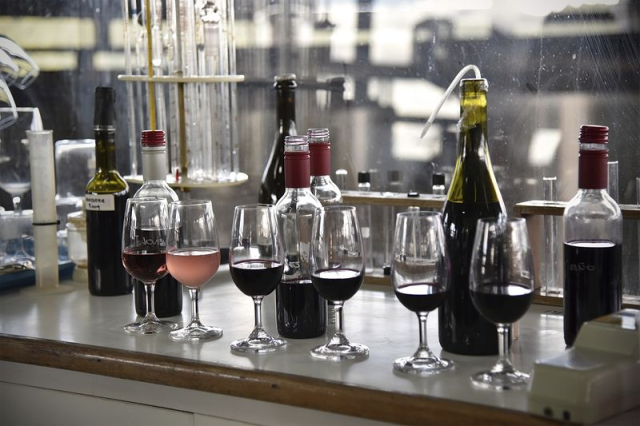 Free: CdA. Savage visita Rivera | Free Photo - rawpixel - nohat.cc