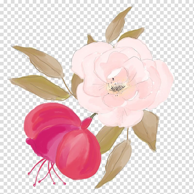 Free: Centifolia roses Watercolor painting Flower Illustration, Simple ...