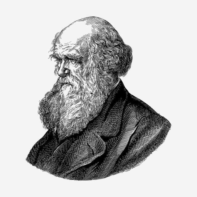 Free: Charles Darwin drawing clipart, scientist | Free PSD - rawpixel ...