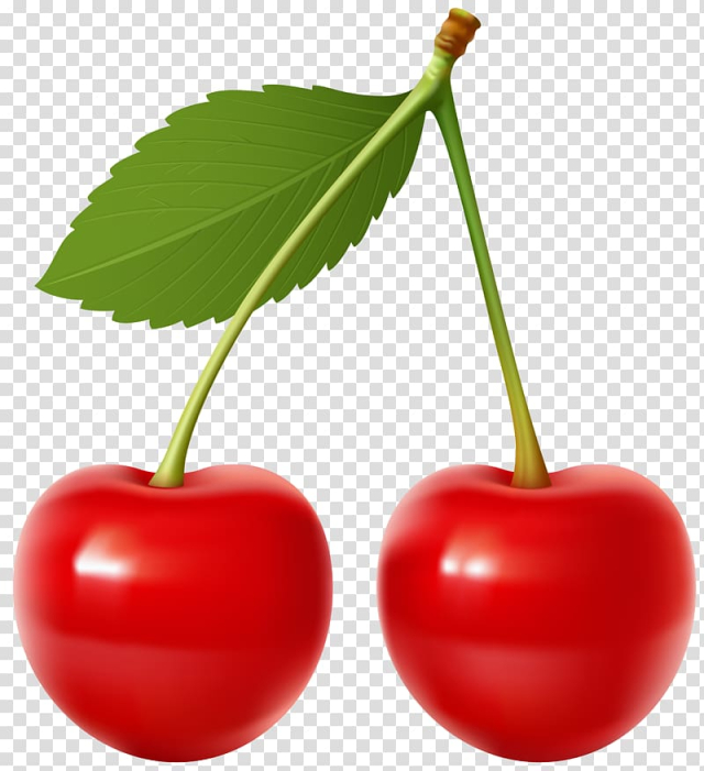 Free: Cherry fruit illustration, Cherry pie Fruit , Cherries ...