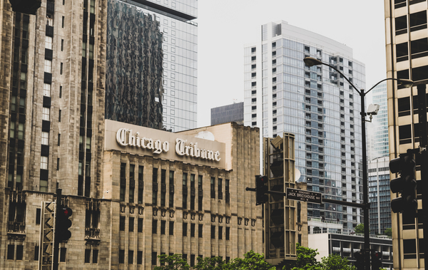 Free: Chicago Tribune Building Near Green Leaf Tree at Daytime - nohat.cc