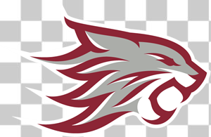 Free: Chico State Wildcats Logo Vector - nohat.cc