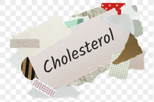 Free: Cholesterol png word sticker, aesthetic | Free PNG - rawpixel ...