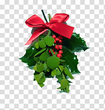 Free: Christmas s, red holly berry transparent background PNG clipart ...