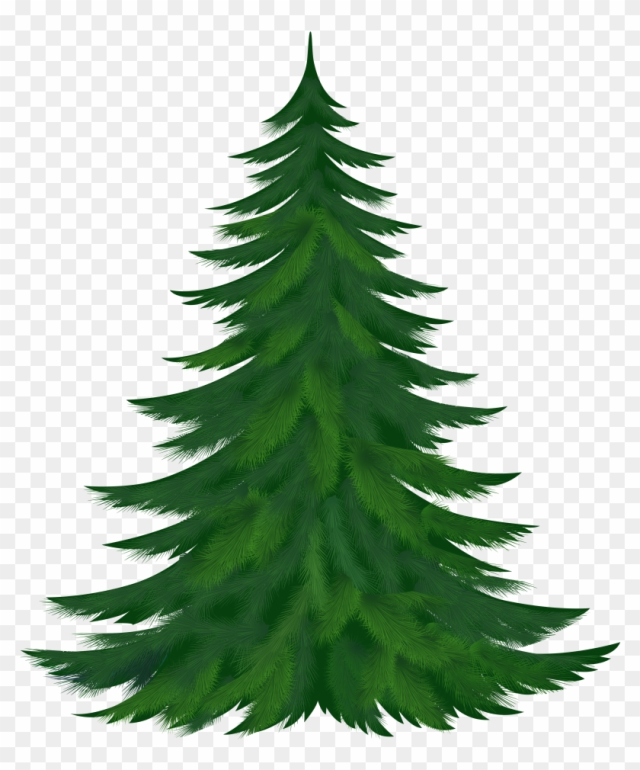Free: Christmas Tubes / Fir Branches - Pine Tree Clipart Png - nohat.cc