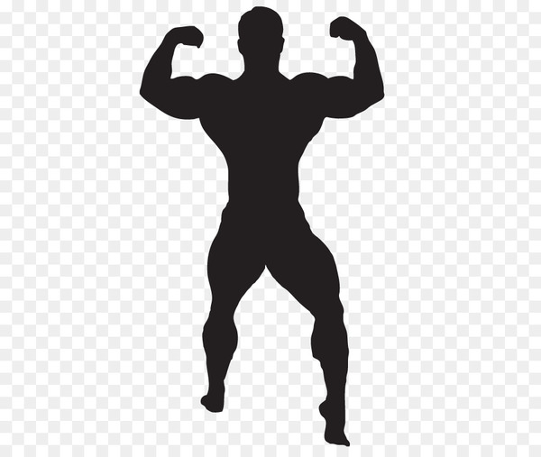 Free: Clip art Bodybuilding Computer Icons Portable Network Graphics ...