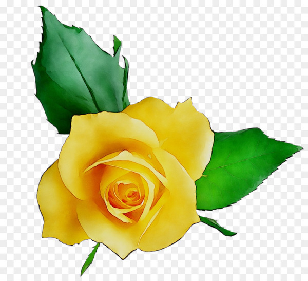 Free: Clip art Garden roses Portable Network Graphics Image Doraemon ...