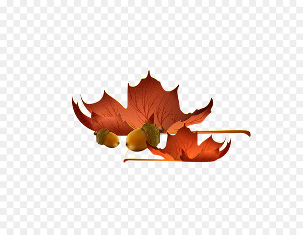 Free: Clip art Maple leaf Autumn Portable Network Graphics - leaf ... Free: Clip art Maple leaf Autumn Portable Network Graphics - leaf ...