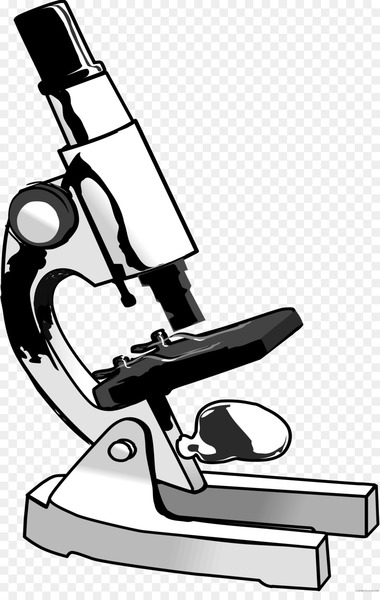 Free: Clip art Optical microscope Vector graphics Light - microscope ...