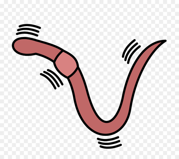 Free: Clip art Symbol Image Graphics Verb - wriggle frame - nohat.cc