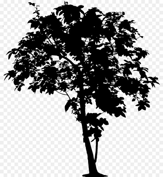Free: Clip art Vector graphics Tree Oak Openclipart - - nohat.cc