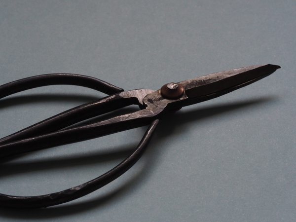 Free: Close-up Photography Scissors - nohat.cc