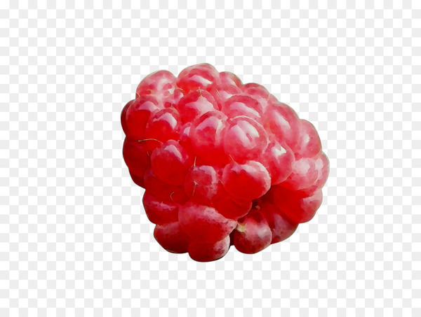 Free: Cloudberry Raspberry Boysenberry Loganberry Tayberry - - nohat.cc