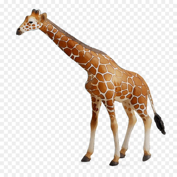 Free: CollectA Action & Toy Figures Reticulated giraffe Jungle Animal ...
