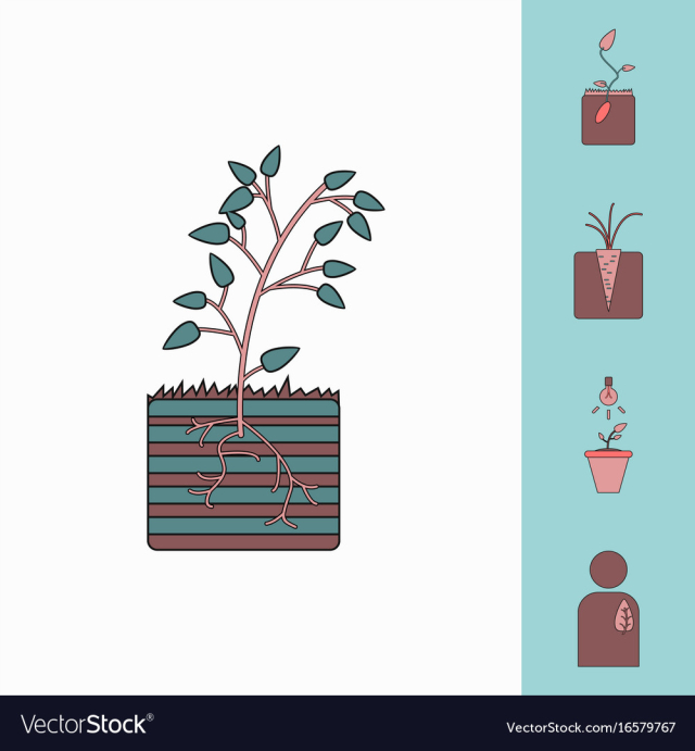 Free: Collection of icons and plants stages vector image - nohat.cc