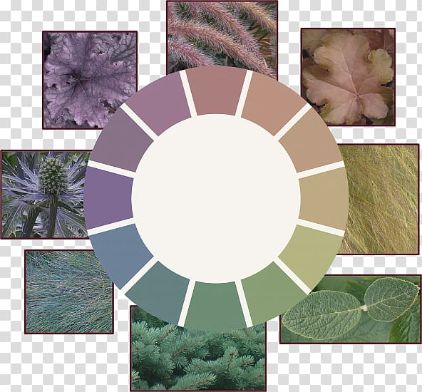 Free: Color wheel Complementary colors Color scheme Primary color ...