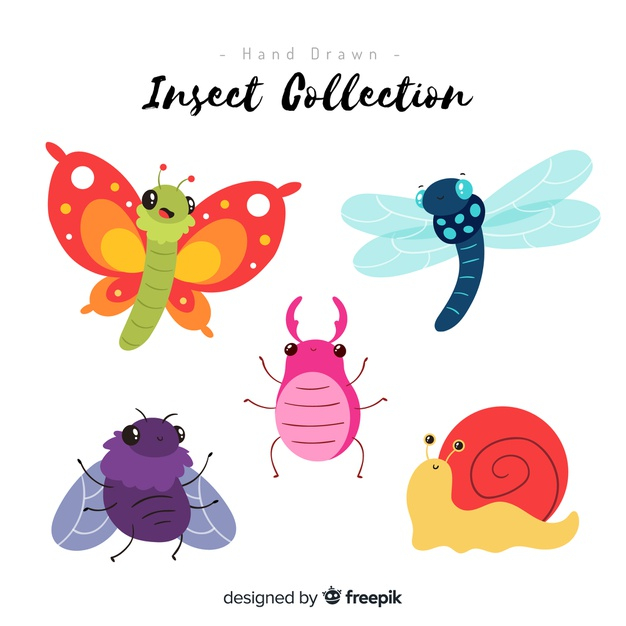 Free: Colorful hand drawn insect collection - nohat.cc