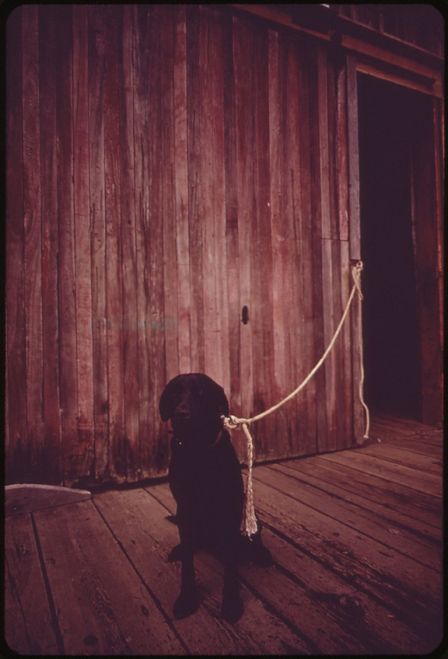 Free: Columbia River Dock Scene. Original | Free Photo - rawpixel ...