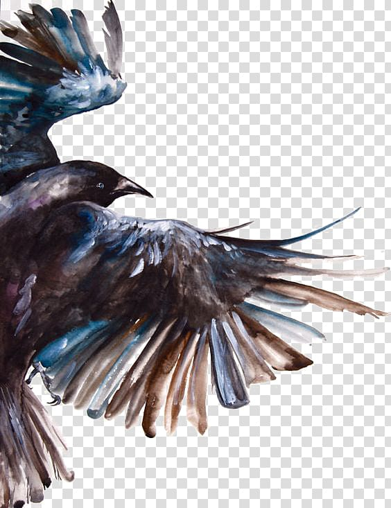 Crows Flying Clipart