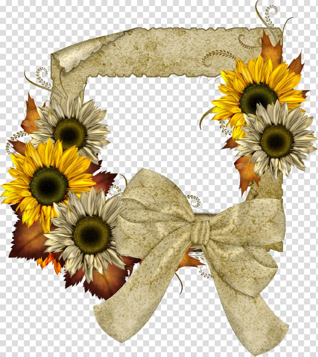 Free: Common sunflower Frames , sunflower transparent background PNG ...