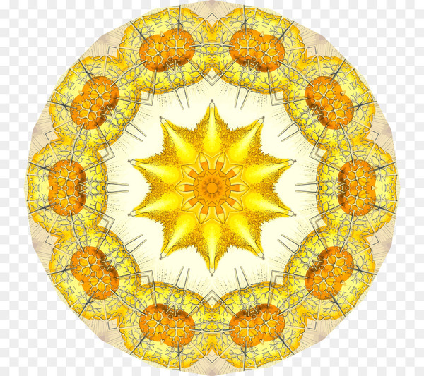 Free: Common sunflower Sunflower seed Creative Commons license ...