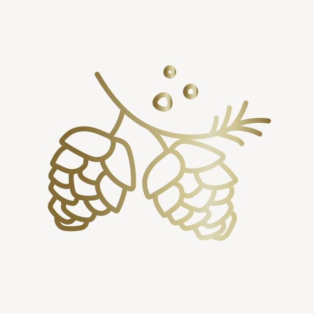 Free: Conifer cone collage element vector | Free Vector - rawpixel - nohat.cc