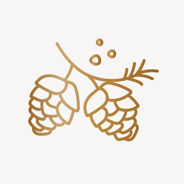 Free: Conifer cone collage element vector | Free Vector - rawpixel - nohat.cc