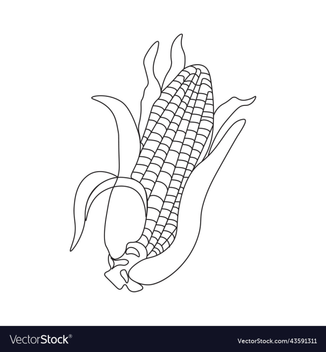 corn coloring page free