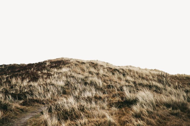 Free: Countryside hill border, nature photo | Free PSD - rawpixel ...