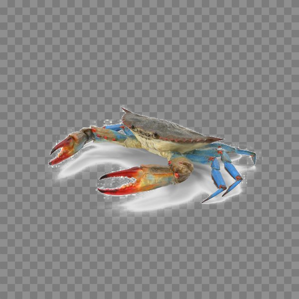Free: Crab PNG Transparent Image - nohat.cc