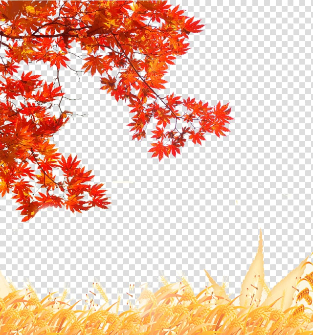 Free: Creative autumn transparent background PNG clipart - nohat.cc