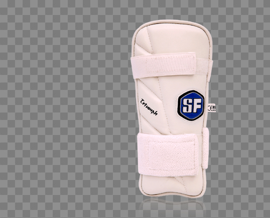 Free: Cricket Chest Pad PNG Download Image - nohat.cc