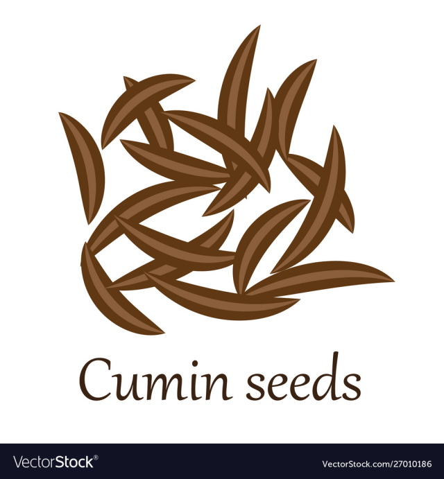 Free: Cumin seeds vector image - nohat.cc