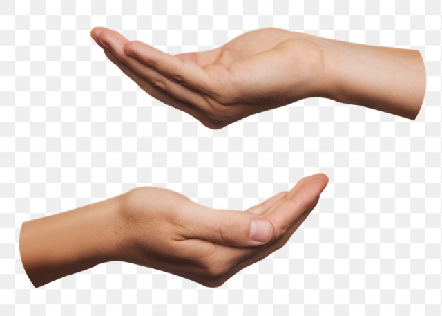 Free: Cupping hands png sticker, transparent | Free PNG - rawpixel - nohat.cc