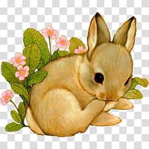 Free: Cute animals s, brown bunny illustration transparent background ...