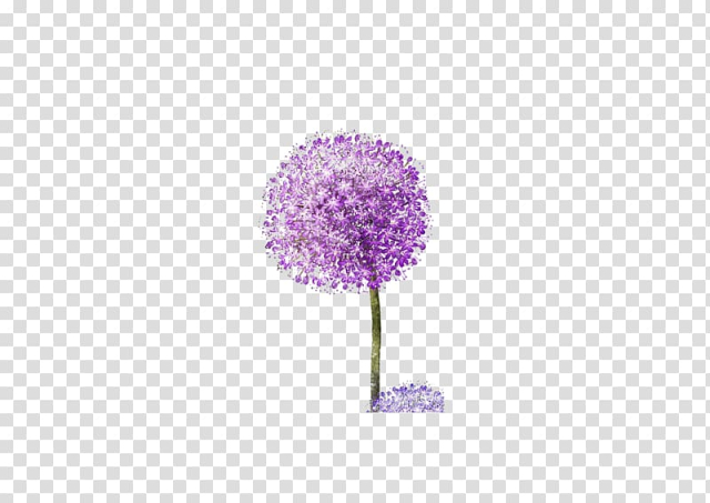 Free: Dandelion Purple , Purple Dandelion transparent background PNG ...