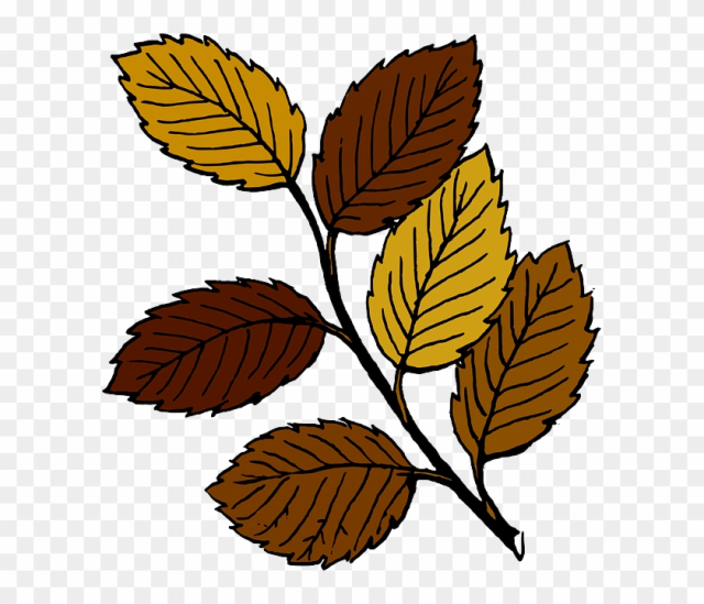 Free: Dead, Fall, Drawing, Leaf, Tree, Branches, Cartoon - Leaves Clip ...