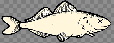 Free: Dead Fish Png (94+ images in Collection) Page 1 - nohat.cc