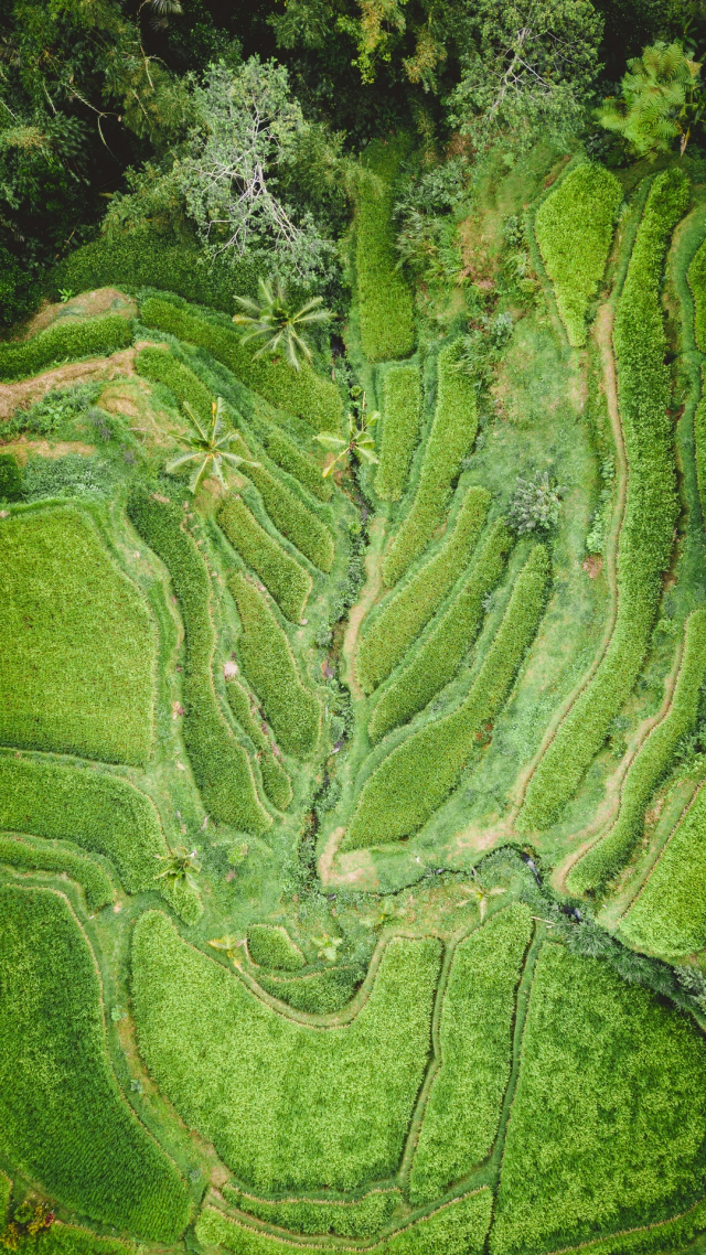 Free: Deep ravine - nohat.cc