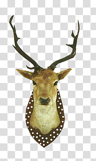Free: , deer buck bust wall trophy with abstract background transparent ...