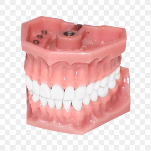 Free: Denture teeth png sticker, transparent | Free PNG - rawpixel ...