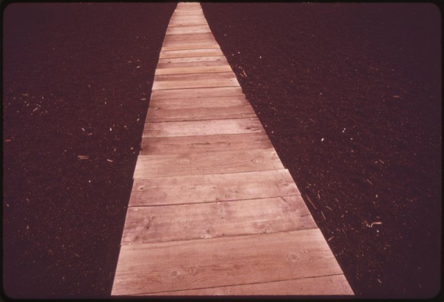 Free: "Devastation Trail" is the name | Free Photo - rawpixel - nohat.cc