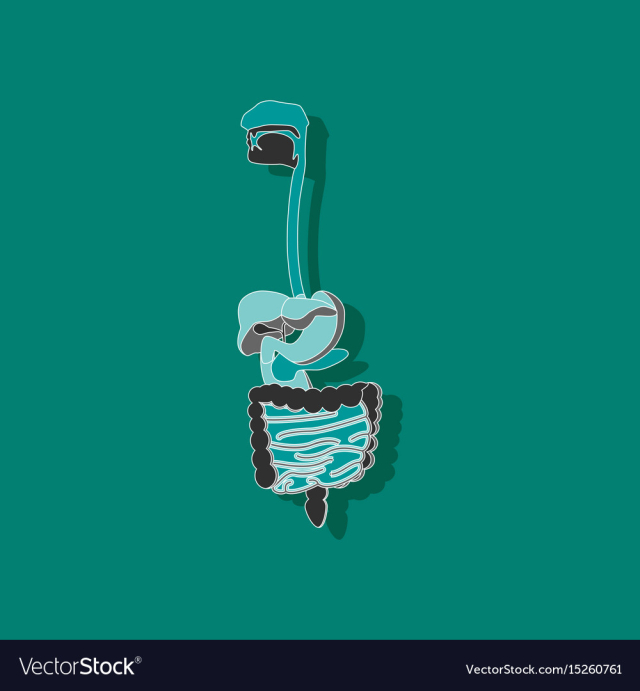 Free: Digestive system paper sticker on stylish vector image - nohat.cc