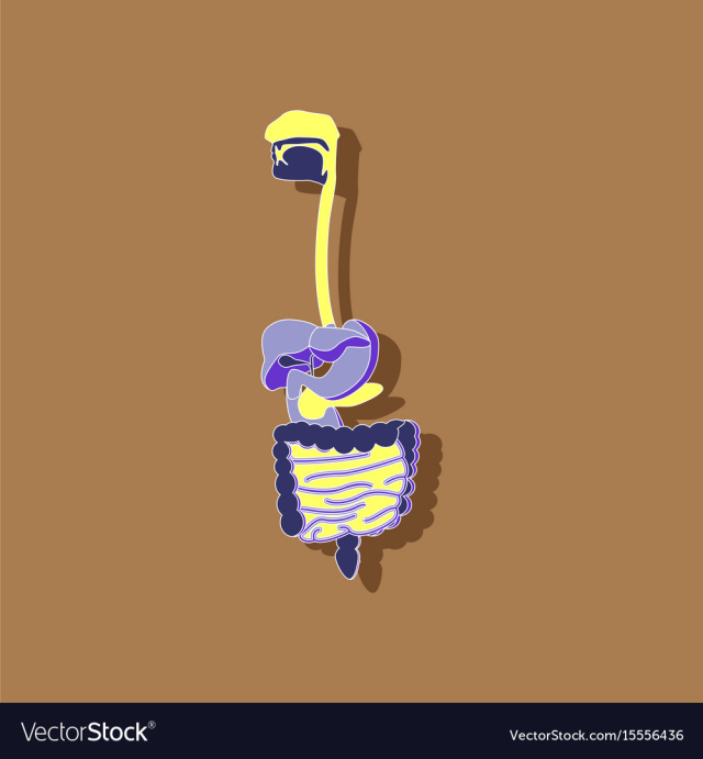 Free: Digestive system paper sticker on stylish vector image - nohat.cc
