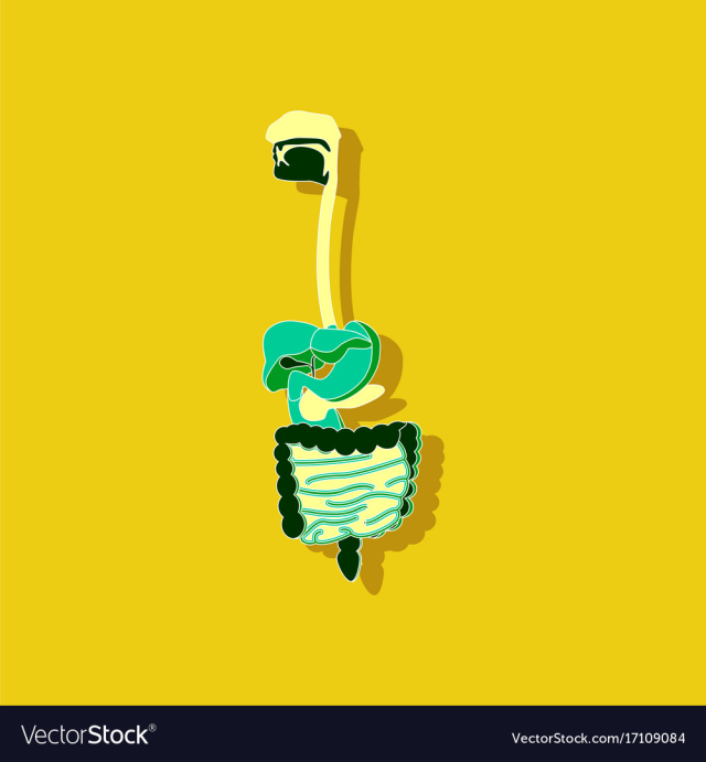 Free: Digestive system paper sticker on stylish vector image - nohat.cc