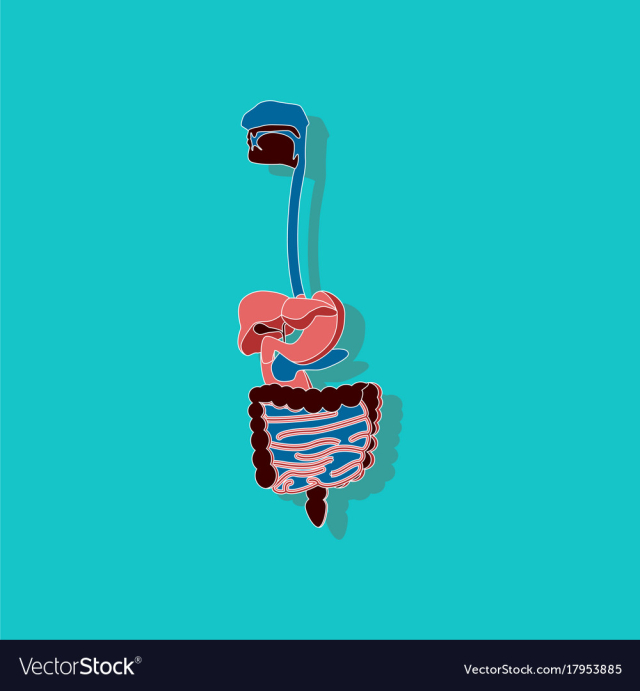 Free: Digestive system paper sticker on stylish vector image - nohat.cc