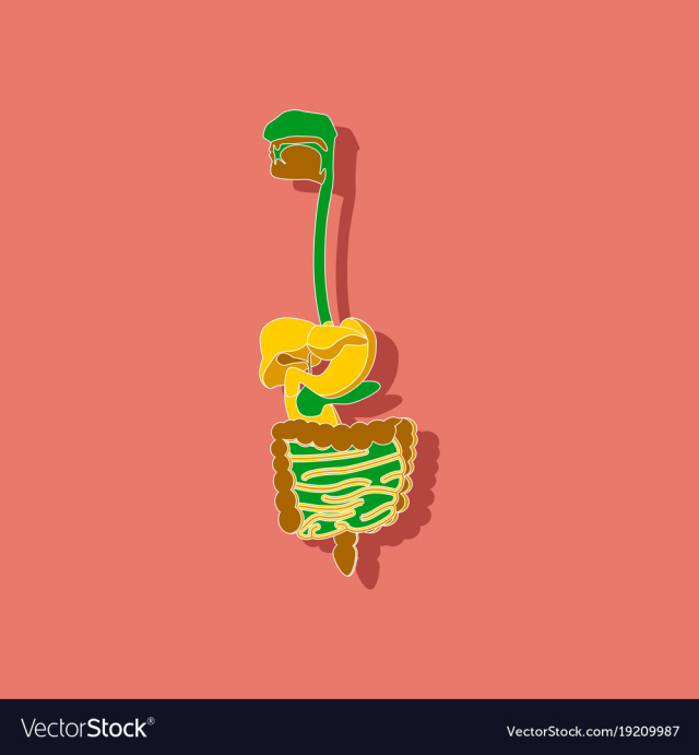 Free: Digestive system paper sticker on stylish vector image - nohat.cc