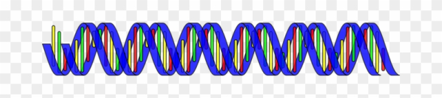Free: Dna Double Helix Science Rna Medical Biolo - Base Editing Dna ...