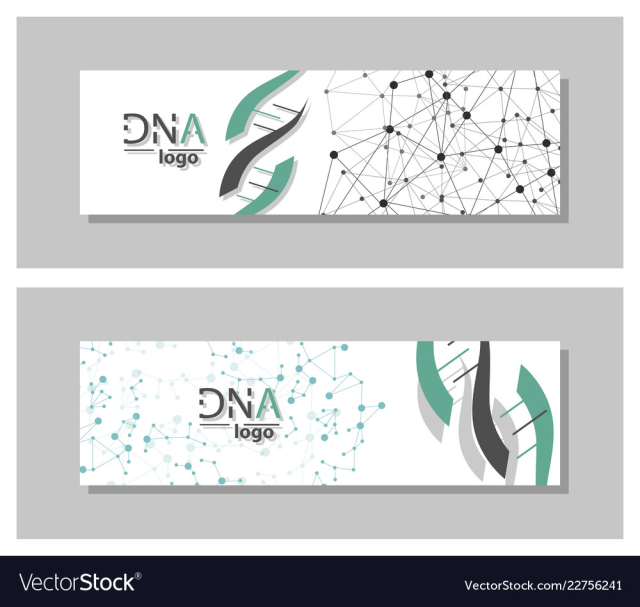 Free: Dna molecule brochure template flyer layout vector image - nohat.cc